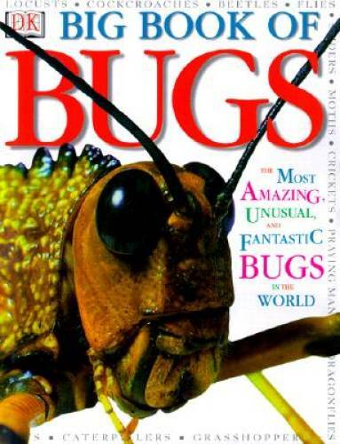 Big Book of Bugs - Hardcover By DK Publishing - GOOD | eBay