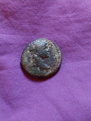 Trajan Ae25 of Beroea,Syria Rv Legend in Wreath BMC 7 K351 | eBay