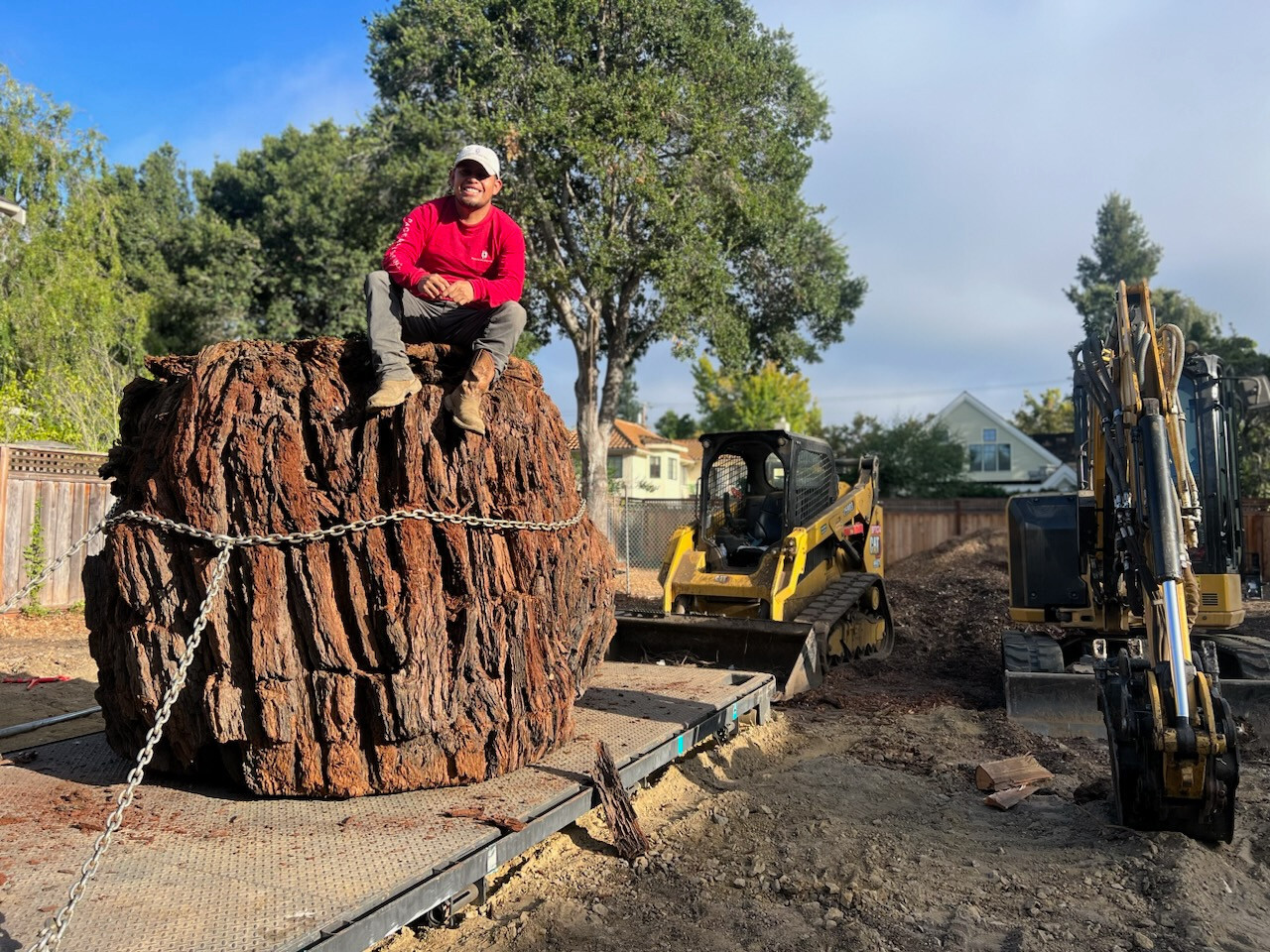 Huge, Huge Old Growth Redwood Round Stump Lumber Log | eBay