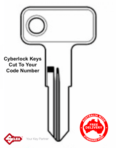CYBERLOCK & Meroni P Series Filing Cabinet Keys-Key Cut To Code Number ...
