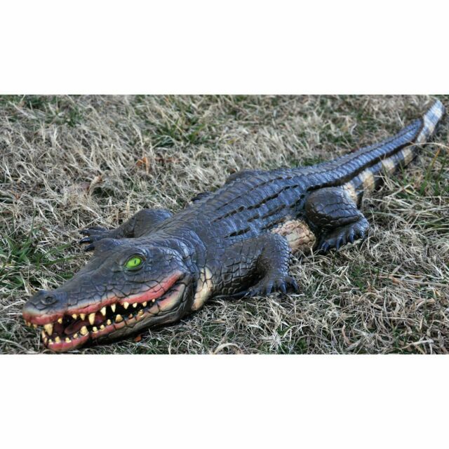 Morris Alligator Swamp Foam Fill 4ft for sale online | eBay