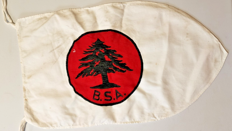 Boy Scouts of America Patrol Flag Pine Tree BSA | eBay