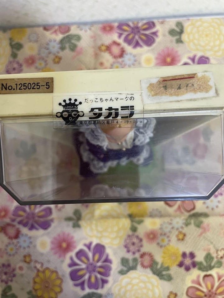 TAKARA Vintage PICO Chan Doll NEW A | eBay