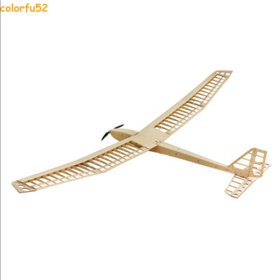 2500mm Wingspan F25 AION Glider Airplane RC Plane Balsa Wood Model ...