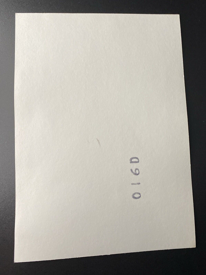 1971 Provocative Pretty Gal Girl Woman Ice Skating Risque Sexy Real ...