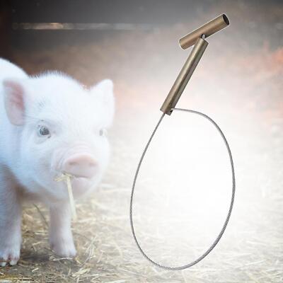 Pig Holder Hog Catcher Cable Catching Pig Holder Catcher Pole Control ...
