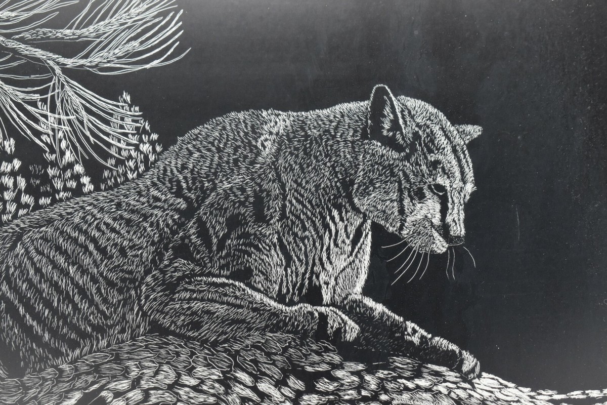 Reptile Art Scratchboard