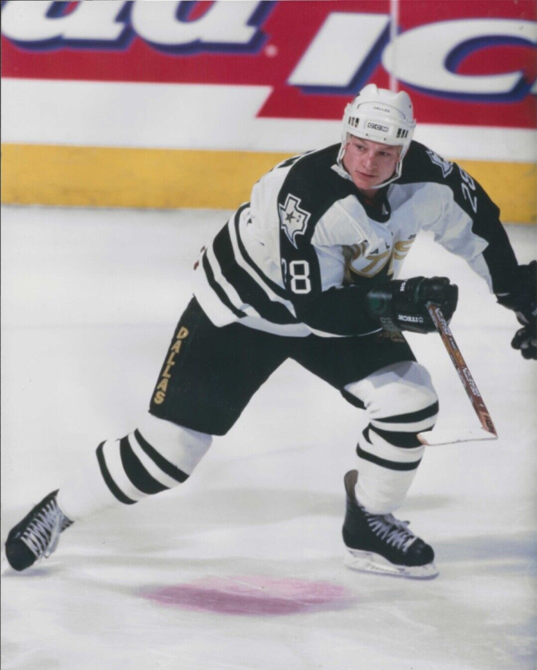 DALLAS STARS - BOB BASSEN - Officially Licensed 8x10 Photo | eBay