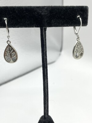 Silver Tone Tear Drop Family Tree Hologram Dangle Pierced Earrings | eBay
