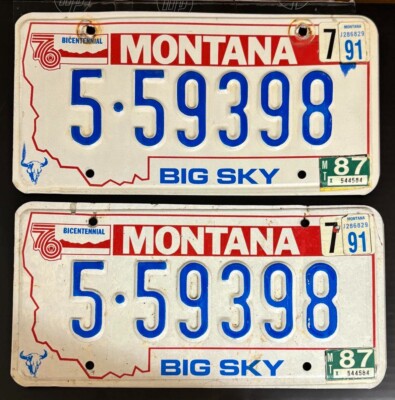 Montana 1991 LEWIS & CLARK COUNTY License Plate PAIR # 5-59398 | eBay