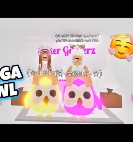 Adopt Your Pet From Me Today! Mega Neon Fly Ride Owl SAME DAY DELIVERY ...