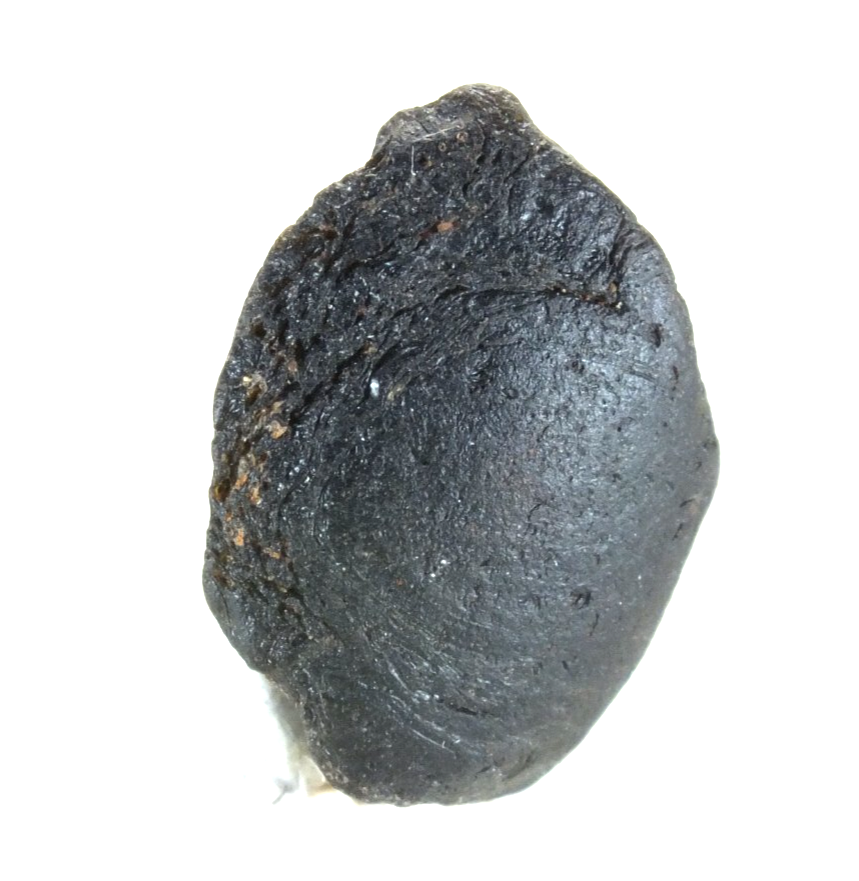 Australite Tektite, Sandpit nr Port Campbell. Victoria Australia ...