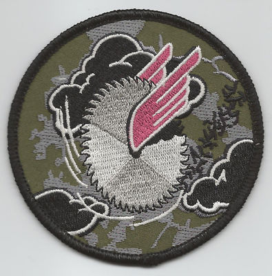 41st FLYING TRAINING SQUADRON patch | eBay