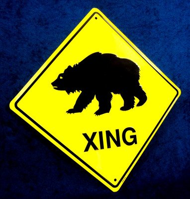 BEAR Xing - *US MADE* Embossed Metal Sign - Yard Man Cave Garage Shop ...