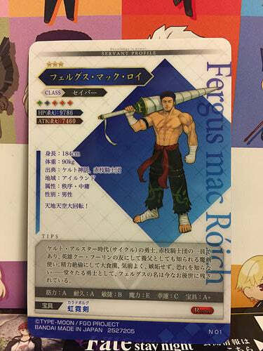 Fergus mac Roich Saber Fate Order FGO Grand Wafer Card Vol.8 N01 | eBay