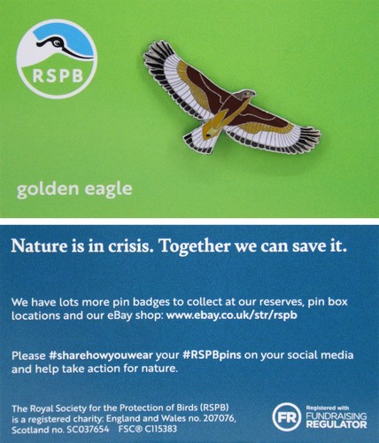 RSPB Pin Badge Golden Eagle NIIC P03035 | eBay UK