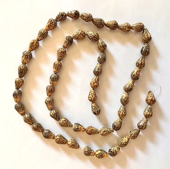 Teardrop shaped Natural Berry Nut beads, 32" strand, 54 pieces | eBay