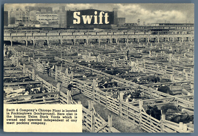 Postcard Swift & Company's Chicago Plant Packingtown Union Stock Yards ...