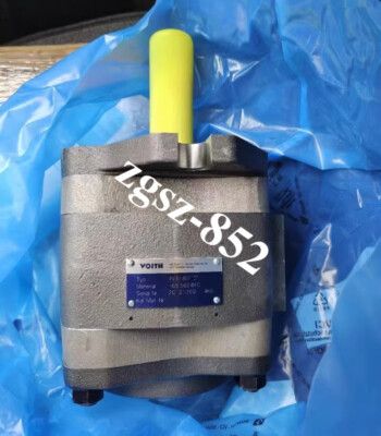IPVP 6-80-101 IPVP6-80-101 NEW VOITH PUMP FedEx or DHL | eBay UK
