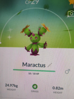 Pokemon Go Shiny Maractus - Mini P T C 80K Stardust | eBay