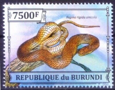 Burundi 2013 MNH, Snakes, Reptiles, Gulf crayfish snake | eBay