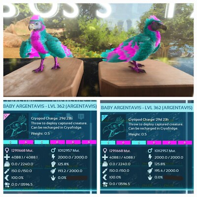 ARK ASCENDED PVE OFICIAL PAIR BABY ARGY COTTON CANDY HIGH STATUS PS5/PC ...