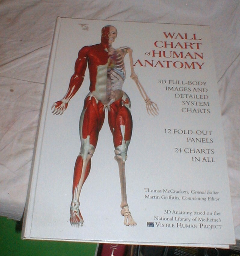 Wall Chart of Human Anatomy 3d Full Body Images 24 Charts 12 Fold out ...