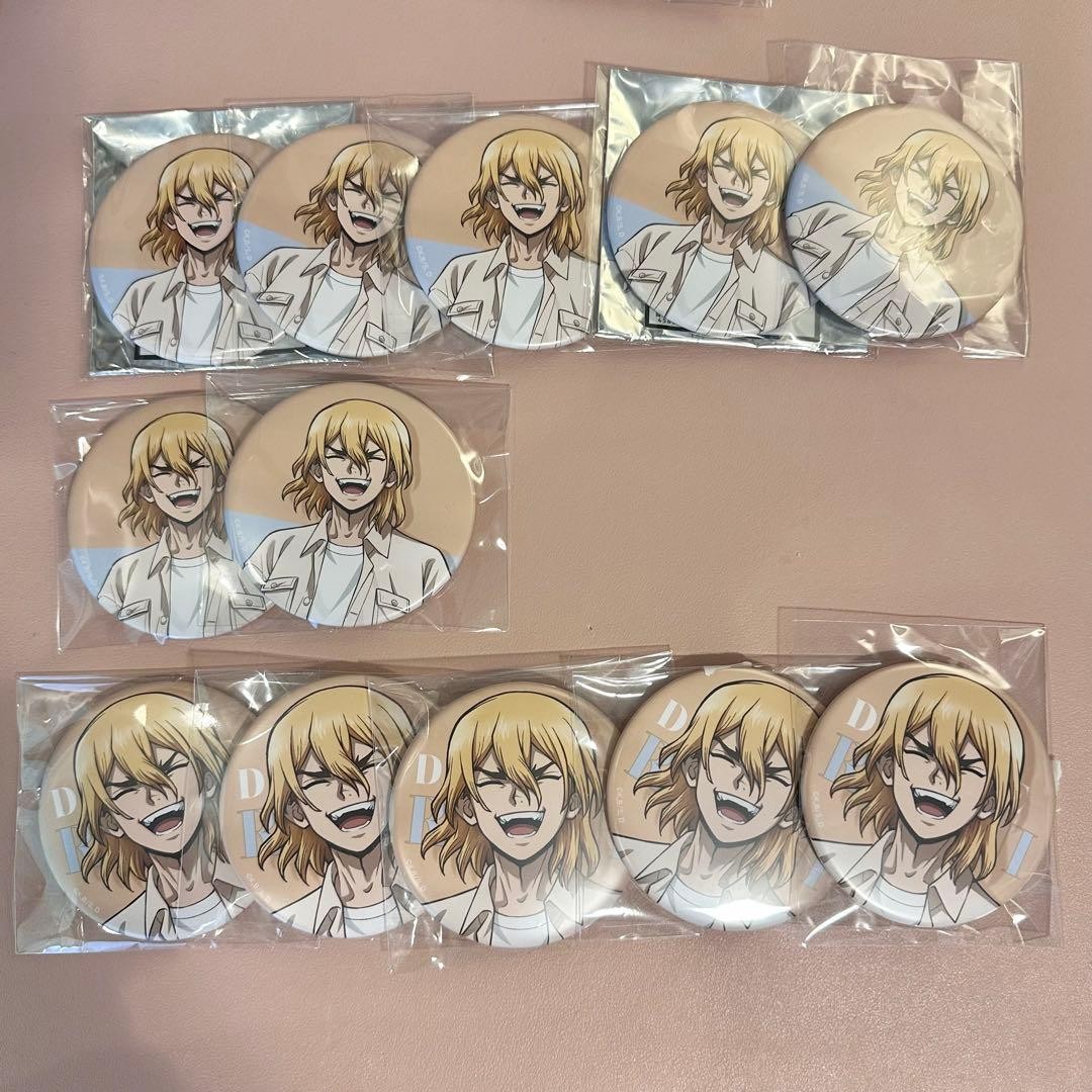 Dr. Stone Dr.ST Ami Ryusui Can Badge Set 12 pcs Matte Garden ...