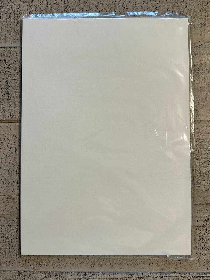 Fate Grand Order FGO RAITA Berserker Minamoto no Raikou Illustration ...