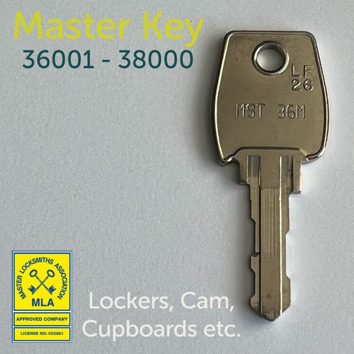 MST 36M Probe L&F Master Key Series 36001 to 38000 Locker Keys + More ...