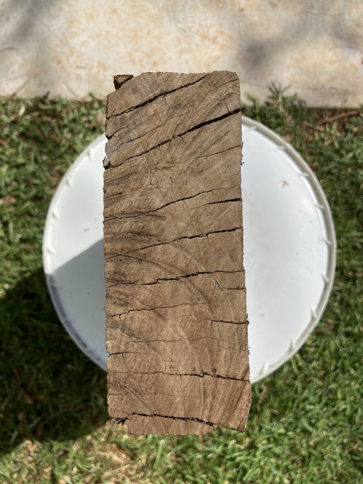 Ancient Red gum Wood | eBay Australia