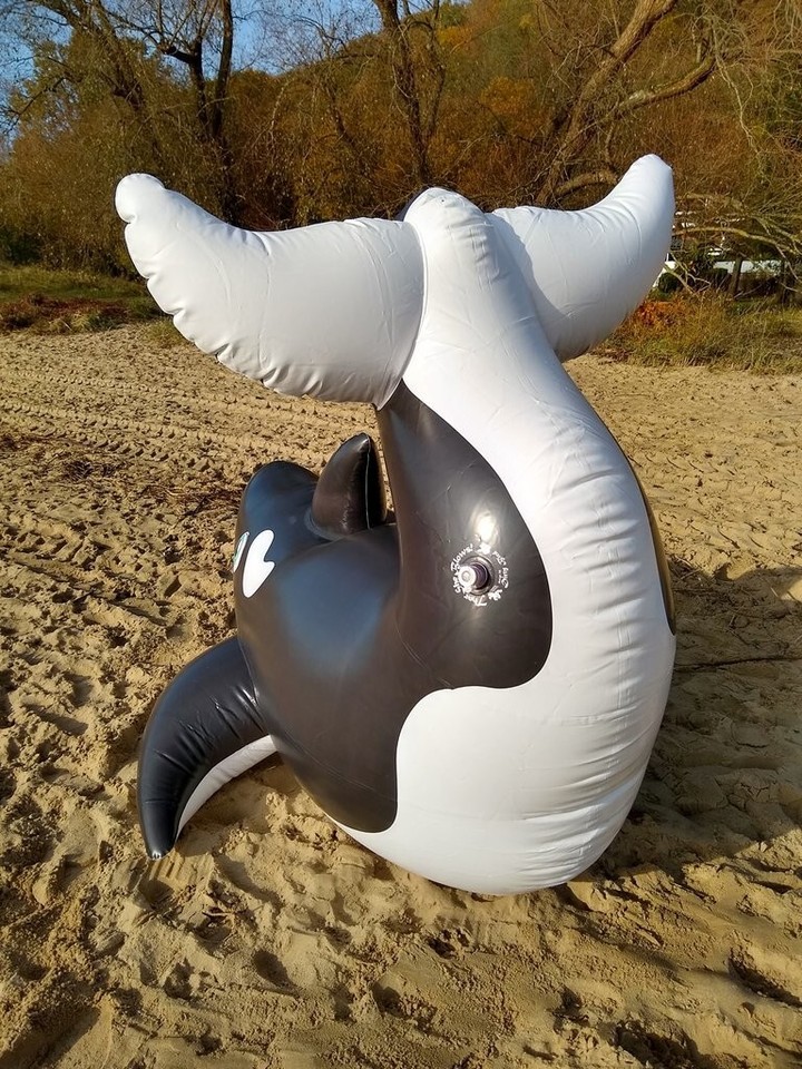 Big ***GIANT*** Inflatable **JUMBO** Whale 7+ feet (2M) long Big ...