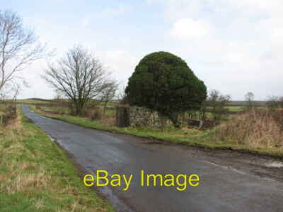 Photo 6x4 Ruined cottage and tree Ballybogey/C9130 A very small ruined ...