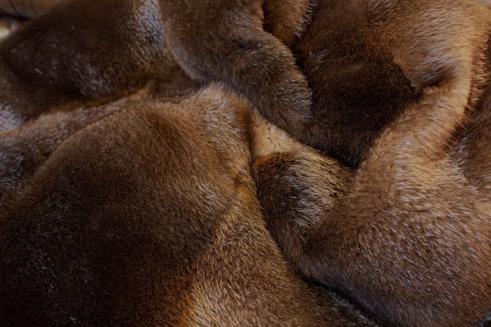 3222 Large Canadian Beaver Fur Blanket XXL Pelt Throw Genuine Furs ...