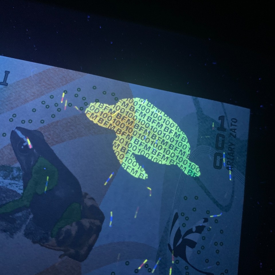 Hidden Sea Turtle UV Note. Madagascar, Banknote. Currency. Paper Money ...