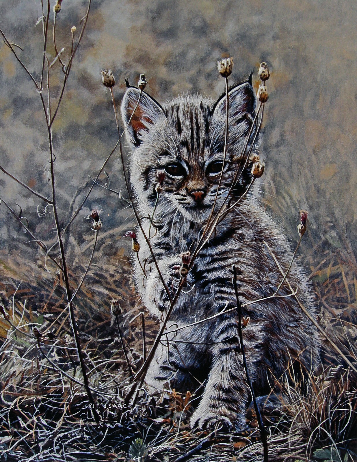 Terry Issac, "Peek A Boo", poster, 16"h x 12"w image, 19"h x 13"w ...