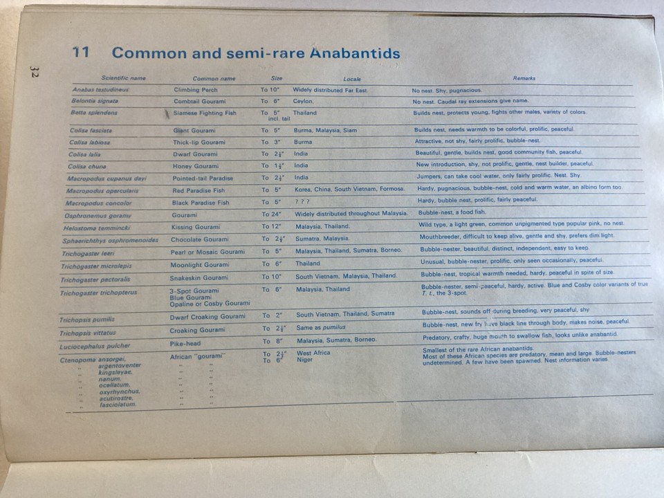 Enjoy Your Gouramis and Other Anabantids - 32 pp - Pet Fish Care - Free ...