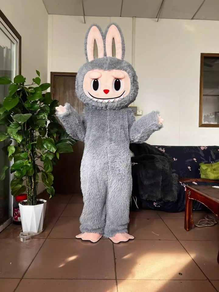 HOT Adult Suit Size LABUBU Cartoon mascot costume | eBay