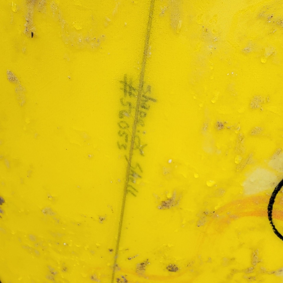 vintage 80's Lynn Shell surfboard autographed board # 56053 | eBay