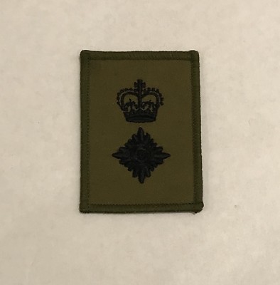 Lieutenant Colonel Green Rank Badge, Half Col Army MTP Military Patch ...