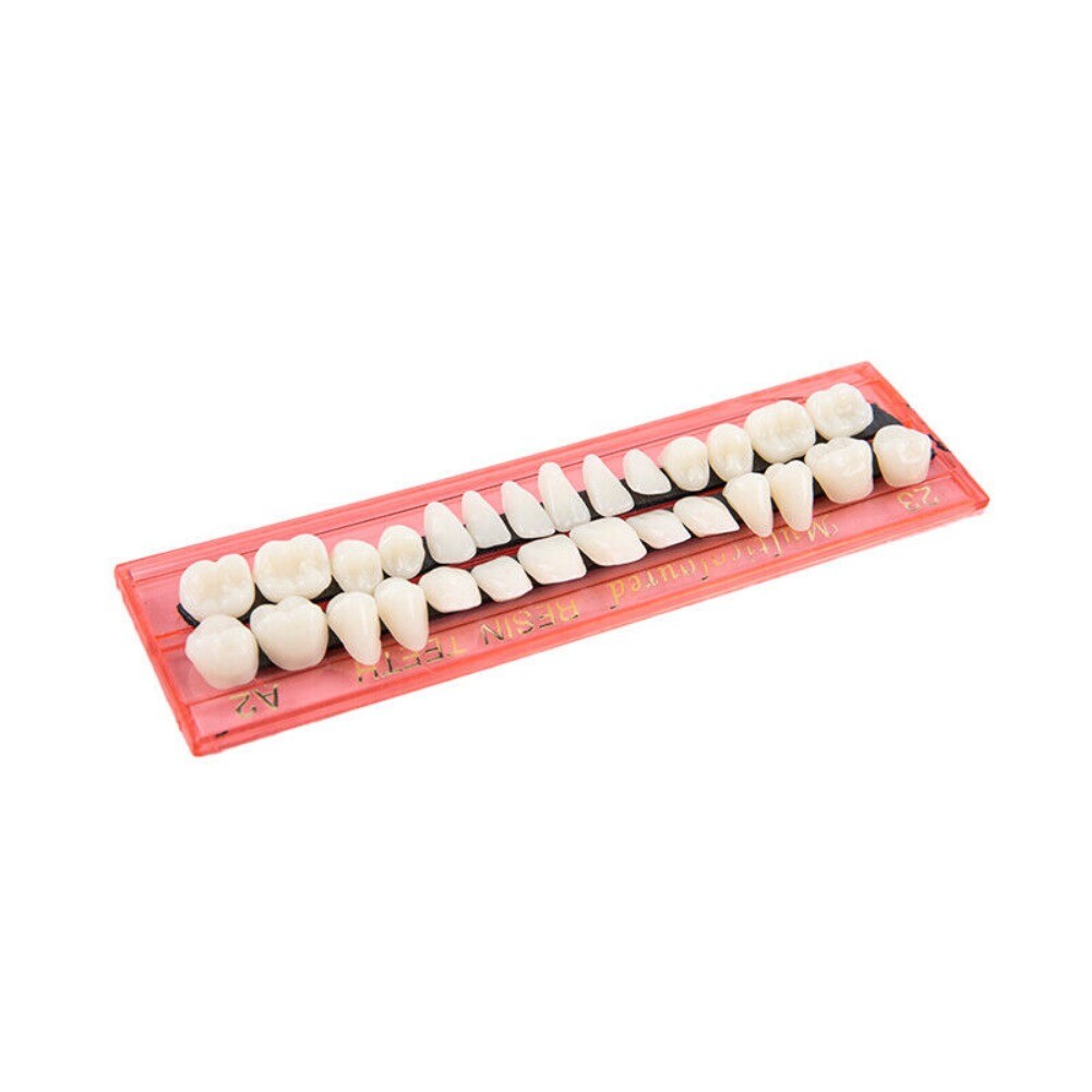 28Pcs Resin Teeth Model Durable Dentures Universal False 'Teeth Dental ...