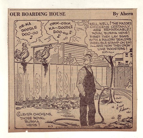 Our Boarding House by Gene Ahern - 25 large daily comic panels from ...