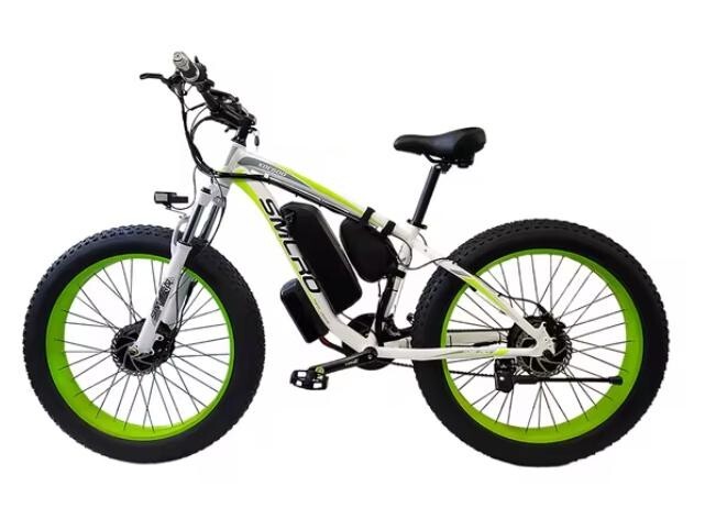 Ebay E Bike