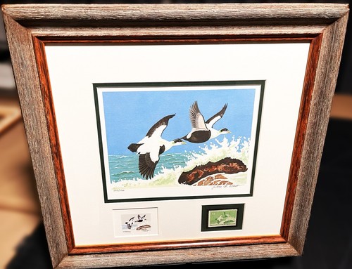 Jackson Abbott 1957 Federal Migratory Duck Stamp Print With Stamp - New ...