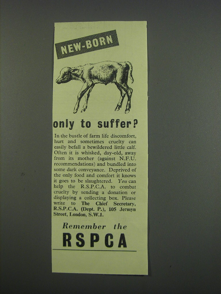1955 RSPCA Royal Society for the Prevention of Cruelty to Animals ...