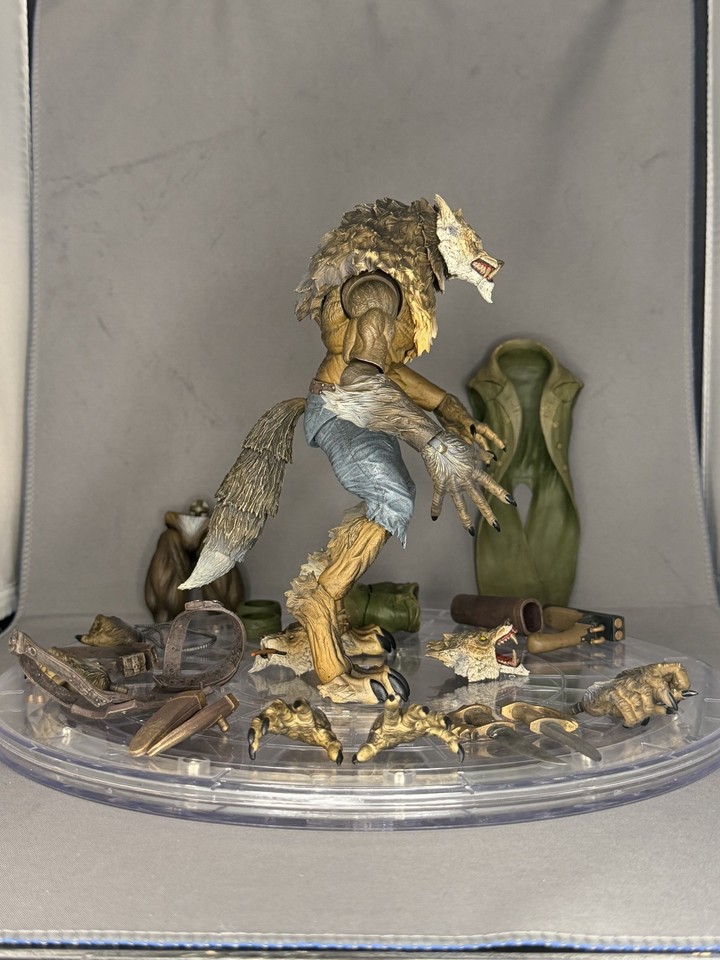 FuRay Planet Veteran William | eBay