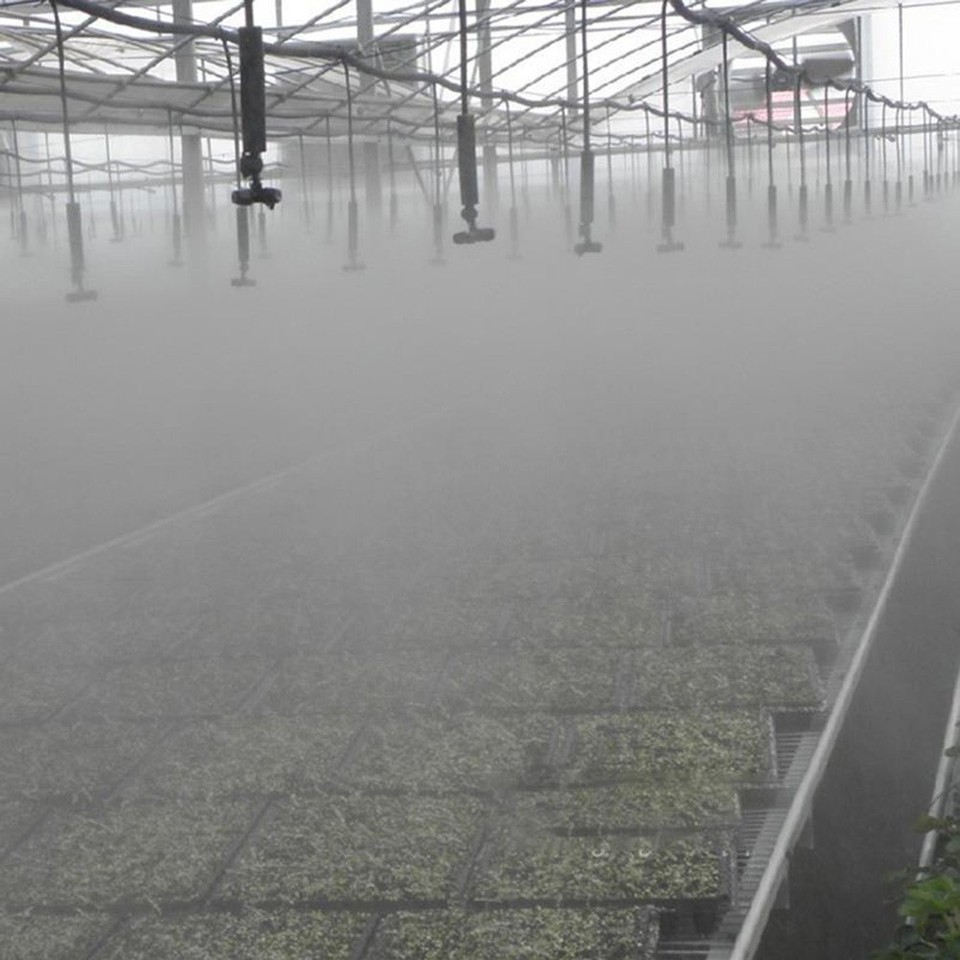 Grey 5 Head Irrigation Nozzle for Micro Irrigation System in Gardens ...