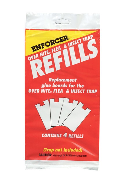 Enforcer Flea & Insect Trap Refills 1 Zep for sale online | eBay