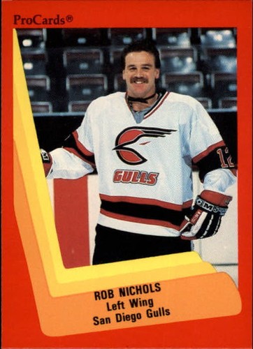 1990-91 ProCards AHL/IHL #299 Rob Nichols | eBay