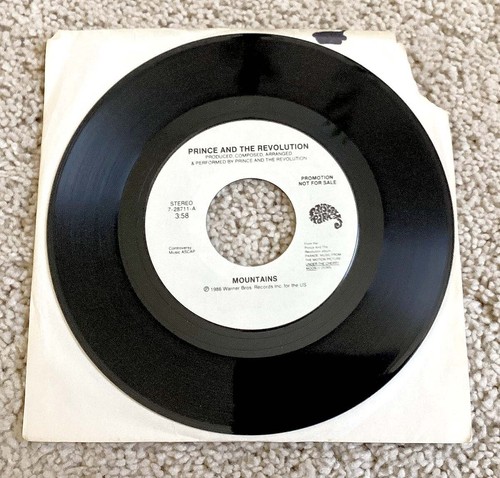 Prince Mountains USA Promo EP 7" White Label Record - Ships USA | eBay UK